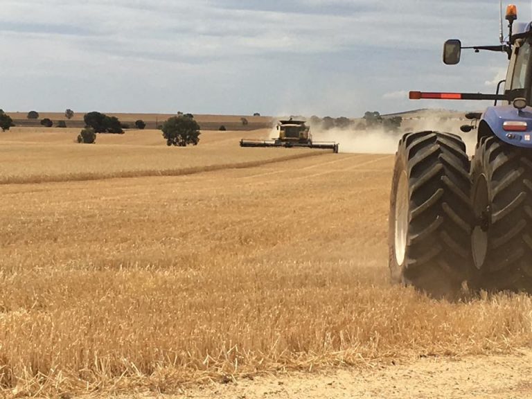Application of Controlled Traffic Farming in the low rainfall zone ...