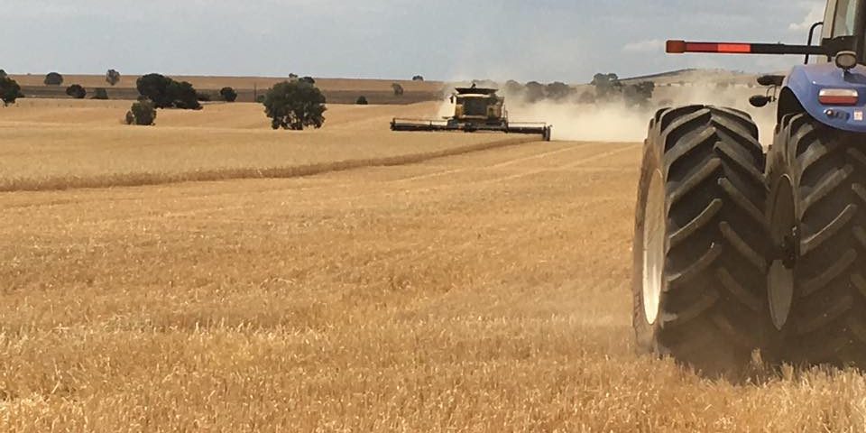 Application of Controlled Traffic Farming in the low rainfall zone ...