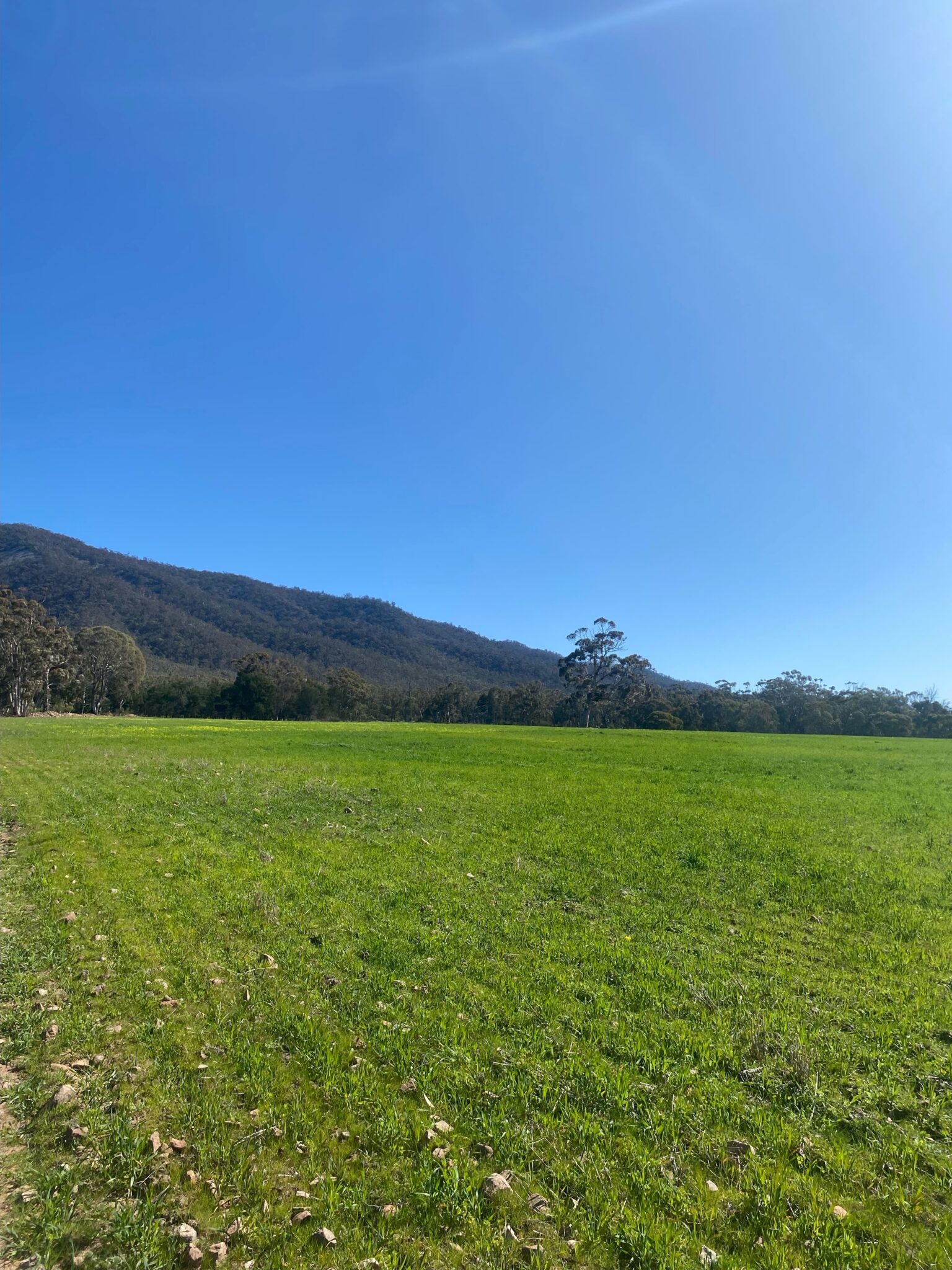 Producer Demonstration Site (PDS) 1 Improved Pasture Management Systems ...