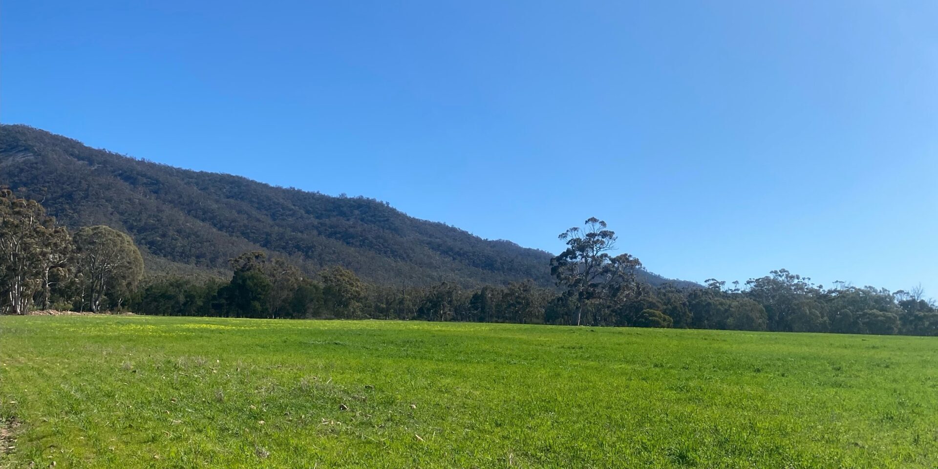 PDS 1 Improved Pasture Management Systems – Upper North Farming Systems